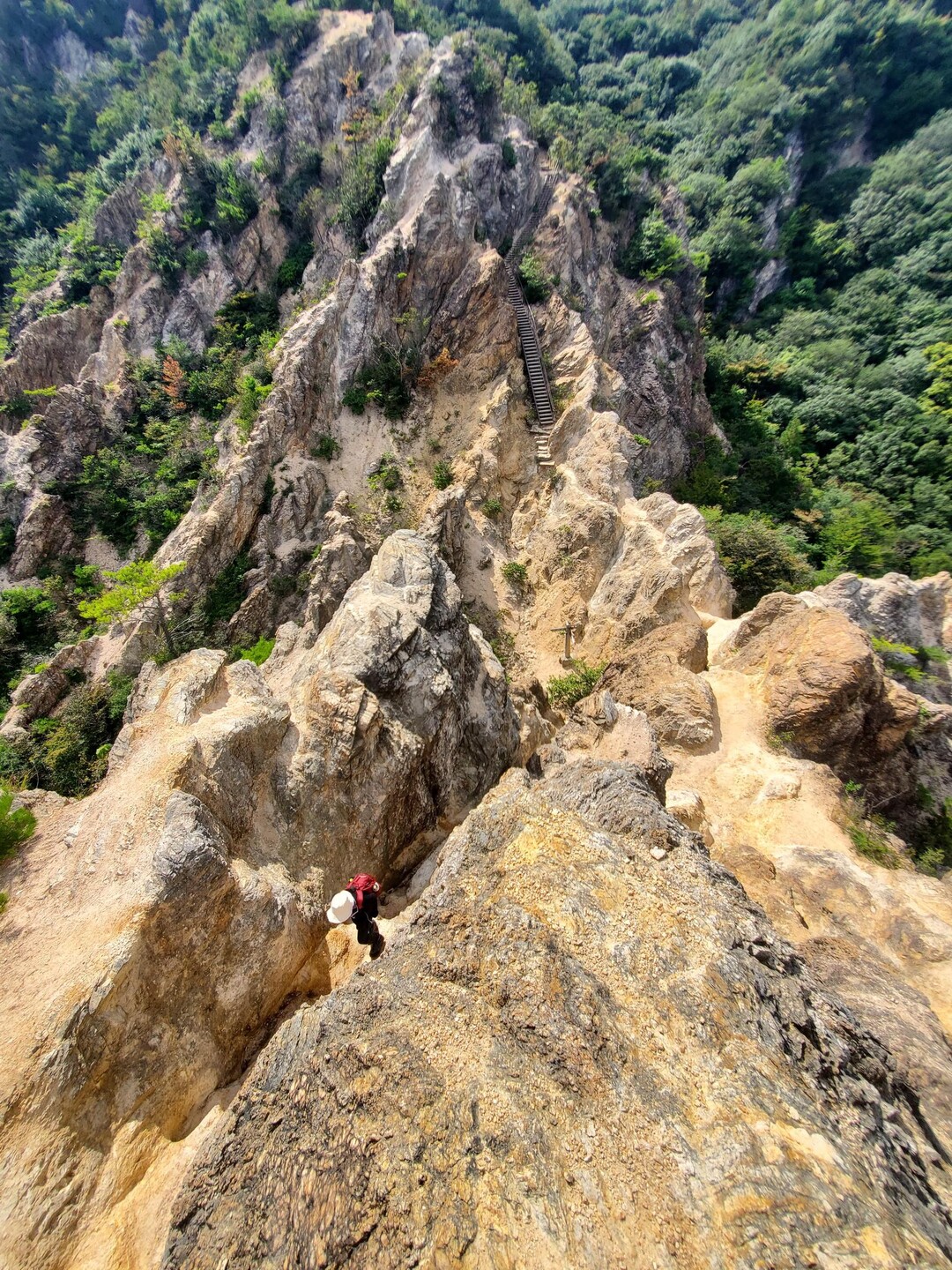須磨アルプス‥"馬の背" / kiyoさんの六甲山・長峰山・摩耶山の活動データ | YAMAP / ヤマップ