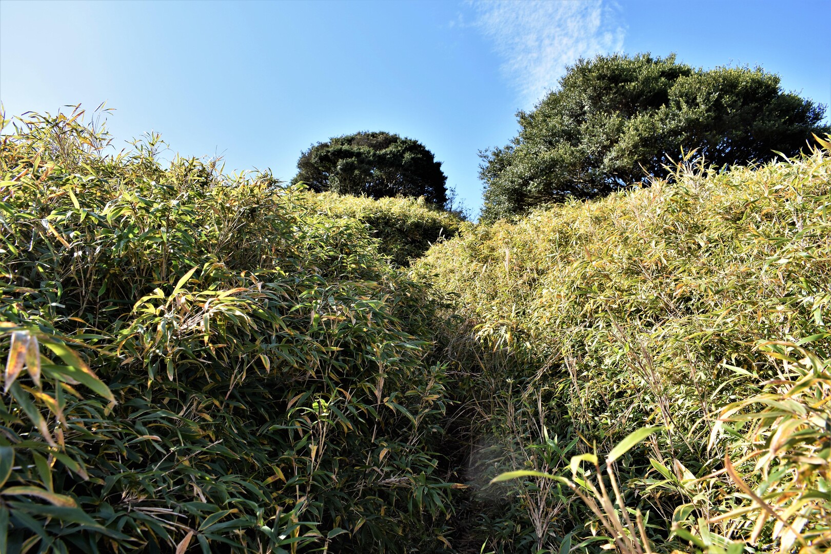 ピエール・HOSHIさんの投稿したフィールドメモ | YAMAP / ヤマップ