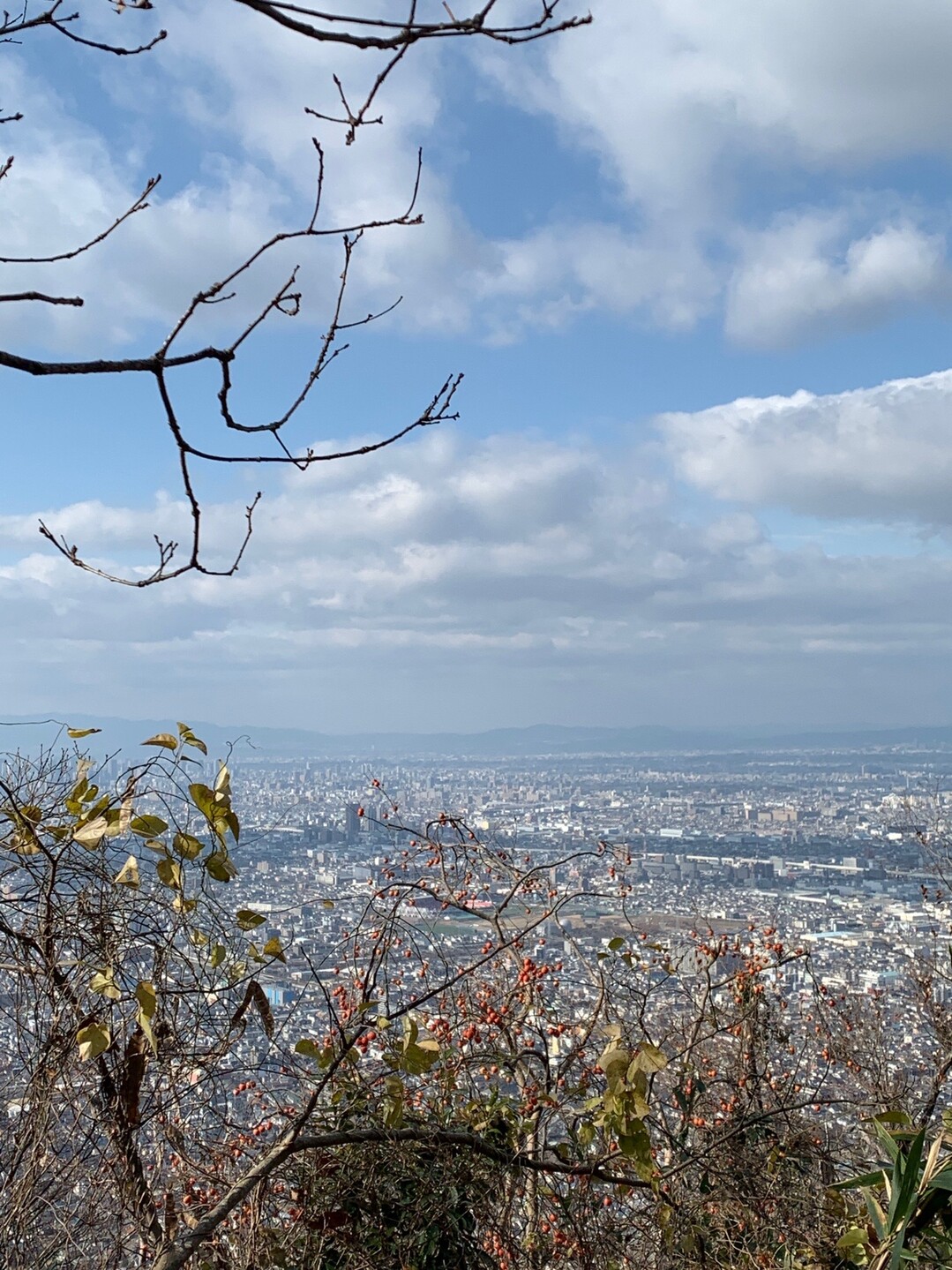 登り初めは生駒山 / iwanemanさんの生駒山・神津嶽・大原山の活動データ | YAMAP / ヤマップ