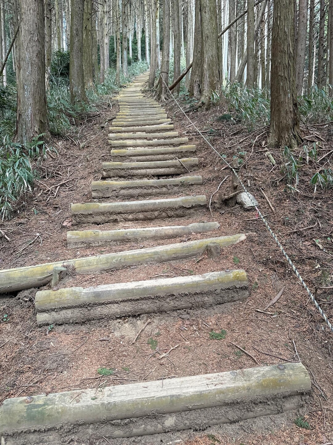 Jangers ジャンガースさんの投稿したフィールドメモ | YAMAP / ヤマップ