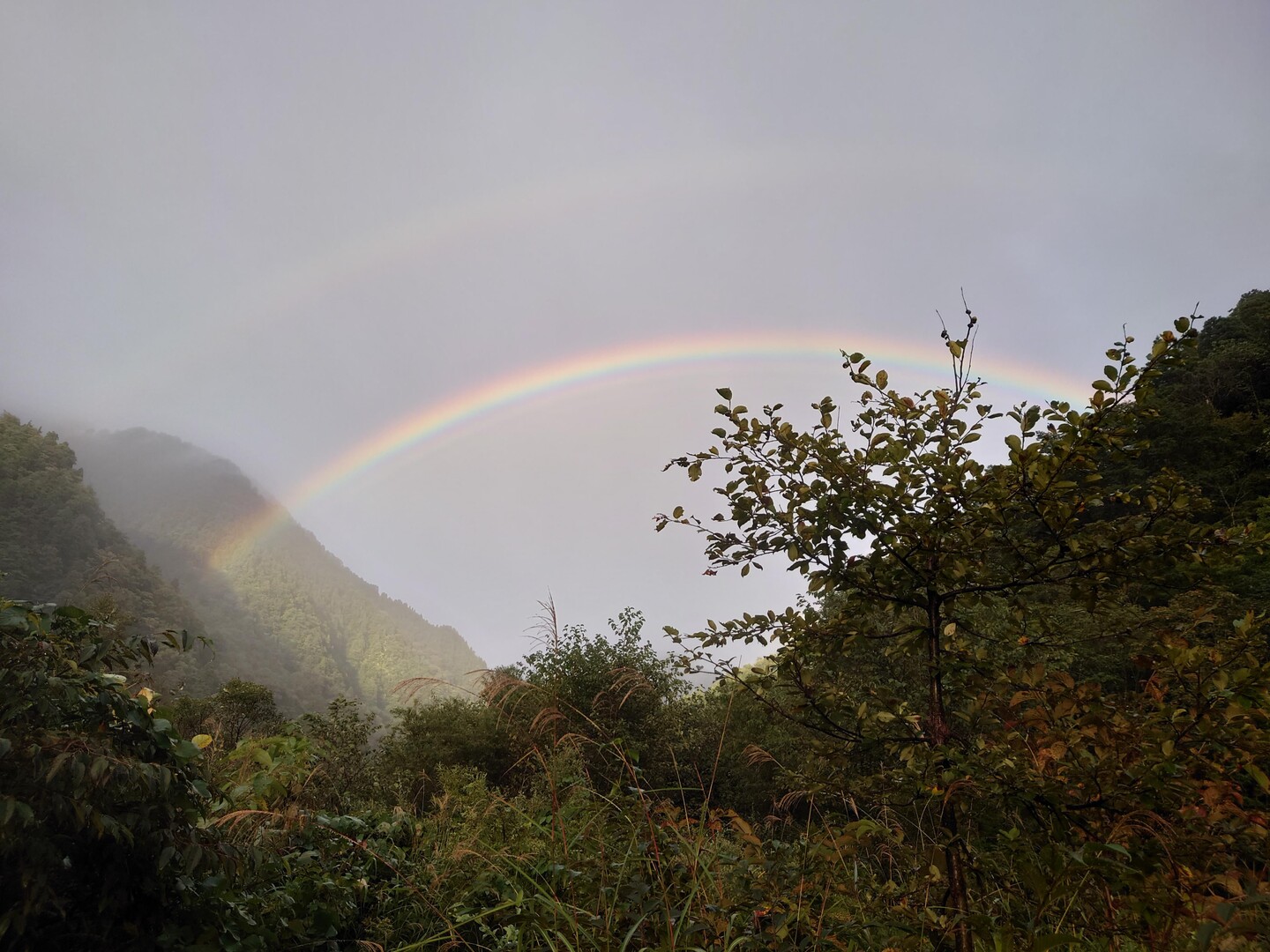 クズバ山-2023-09-23 / marinさんの剱岳の活動データ | YAMAP / ヤマップ