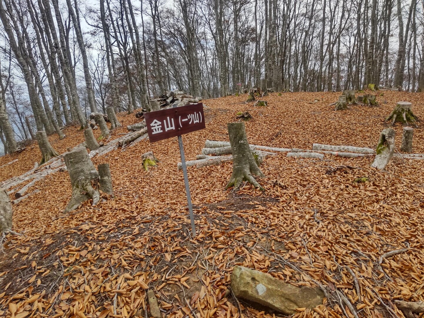 miyukyさんの投稿したフィールドメモ | YAMAP / ヤマップ