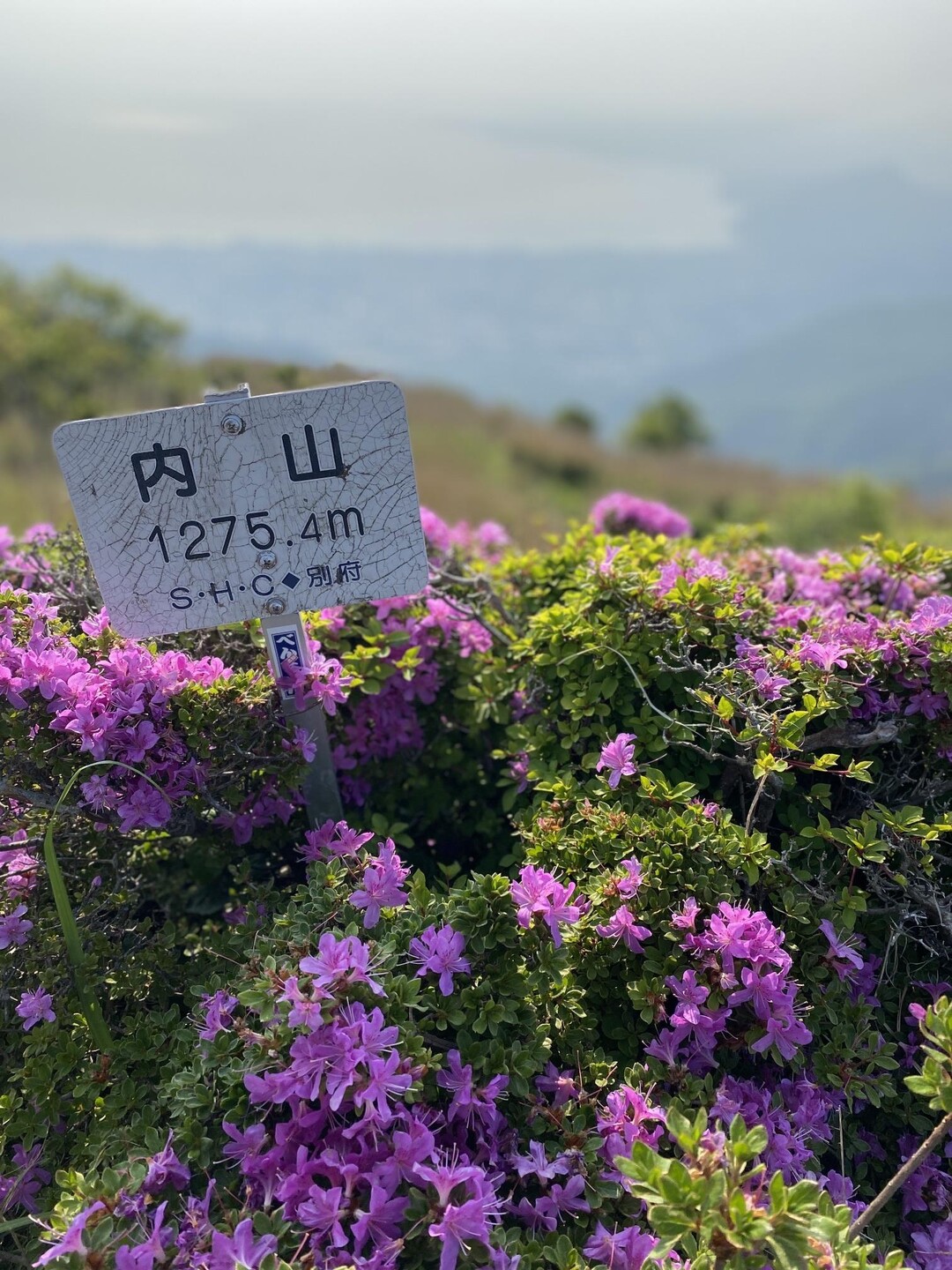 内山(別府) / em1209さんの由布岳・鶴見岳の活動データ | YAMAP / ヤマップ