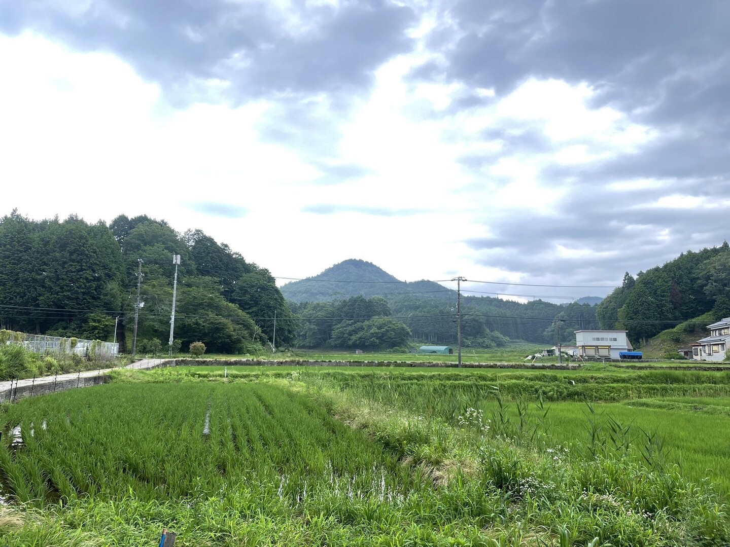 【奈百75】山姿のきれいな都介野岳（都介野岳ハーフピストン） / persさんの額井岳の活動データ | YAMAP / ヤマップ