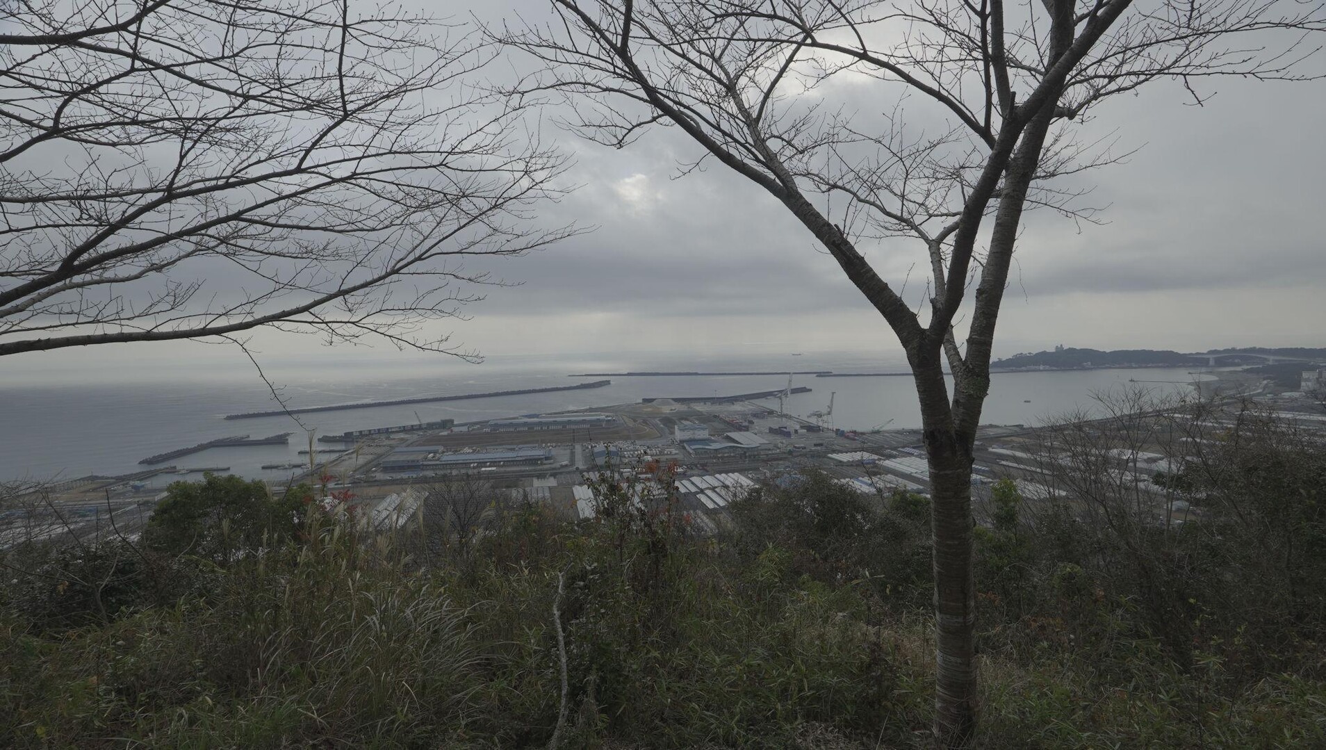 登納めは大平山 / FRVさんの五台山・鉢伏山・大平山の活動データ | YAMAP / ヤマップ
