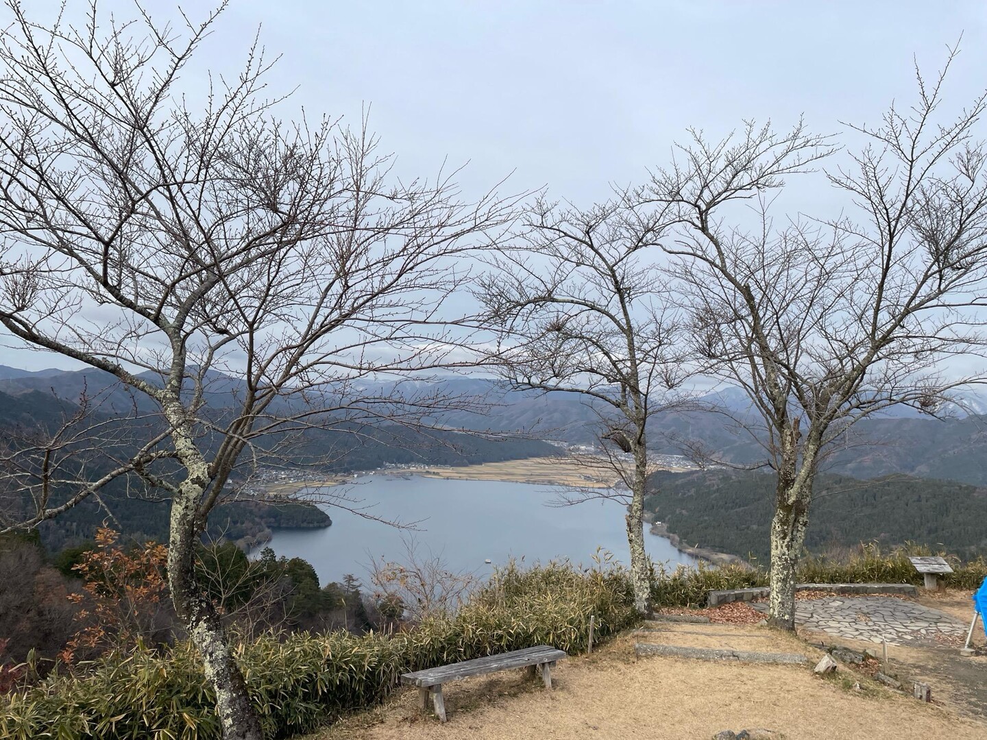 大岩山・賤ヶ岳 / shi −chiさんの賤ヶ岳・山本山の活動データ | YAMAP / ヤマップ