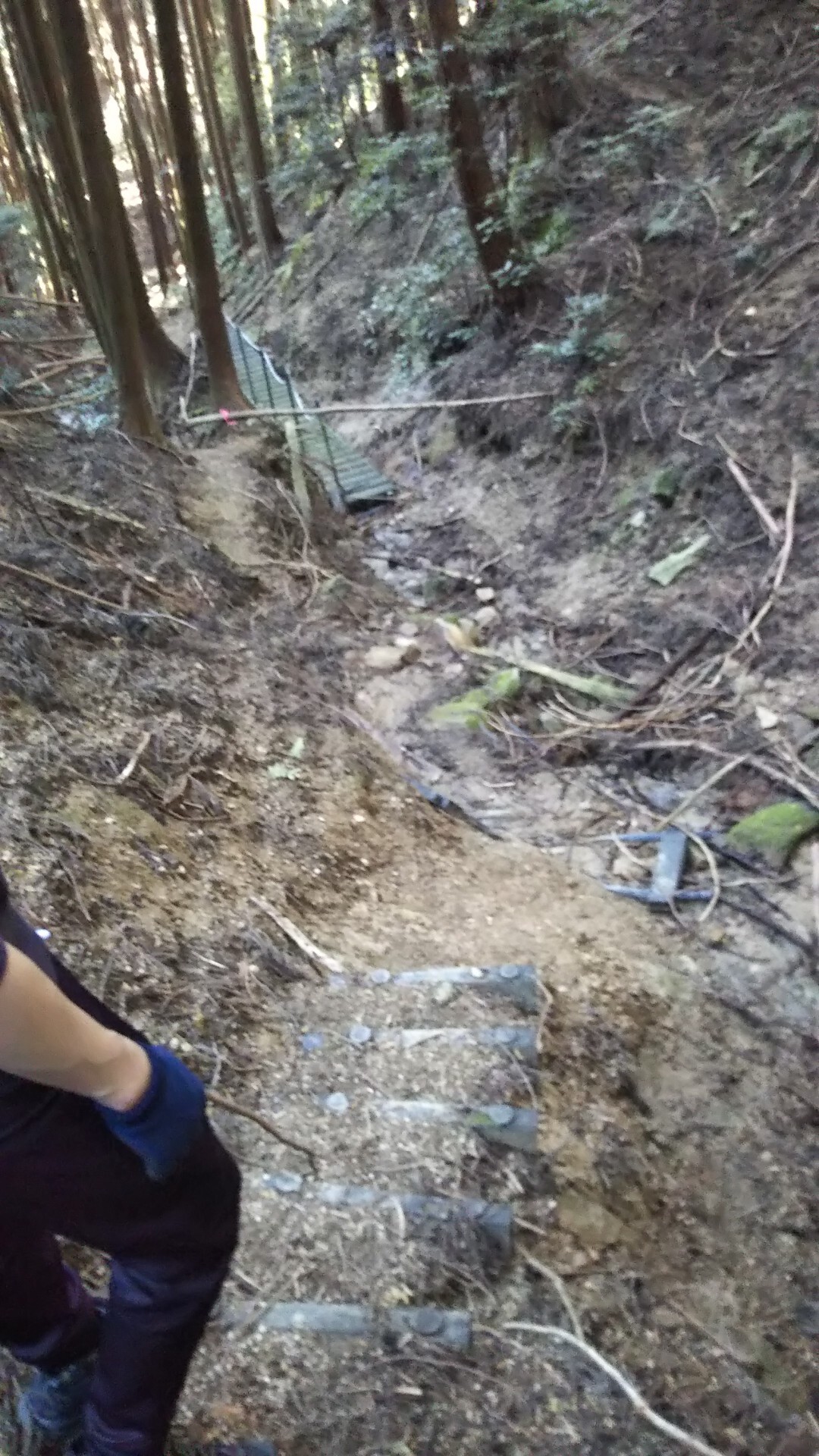 iwaさんの投稿したフィールドメモ | YAMAP / ヤマップ