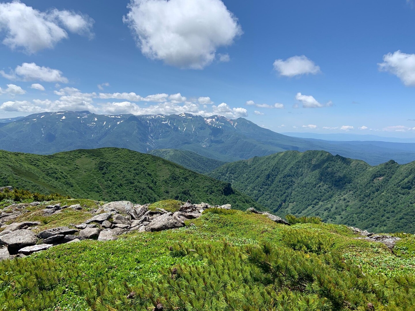 今年の大一番‼️😤シン大雪山トレイルジャーニー60K / なきたあさんのニセイカウシュッペ山・平山・朝陽山の活動データ | YAMAP / ヤマップ