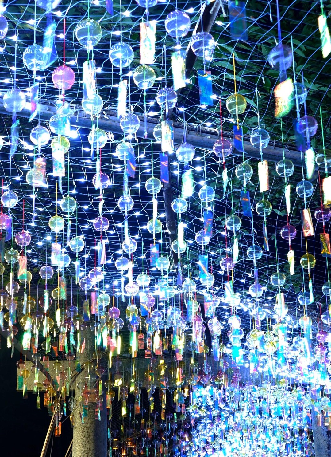 1st week of August / 𝖒𝖎𝖙𝖙𝖎𝖒𝖎𝖙𝖙𝖎(ﾐｯﾁｰﾐｯﾁｰ)さんの湯川山・城山・孔大寺山の活動データ | YAMAP / ヤマップ