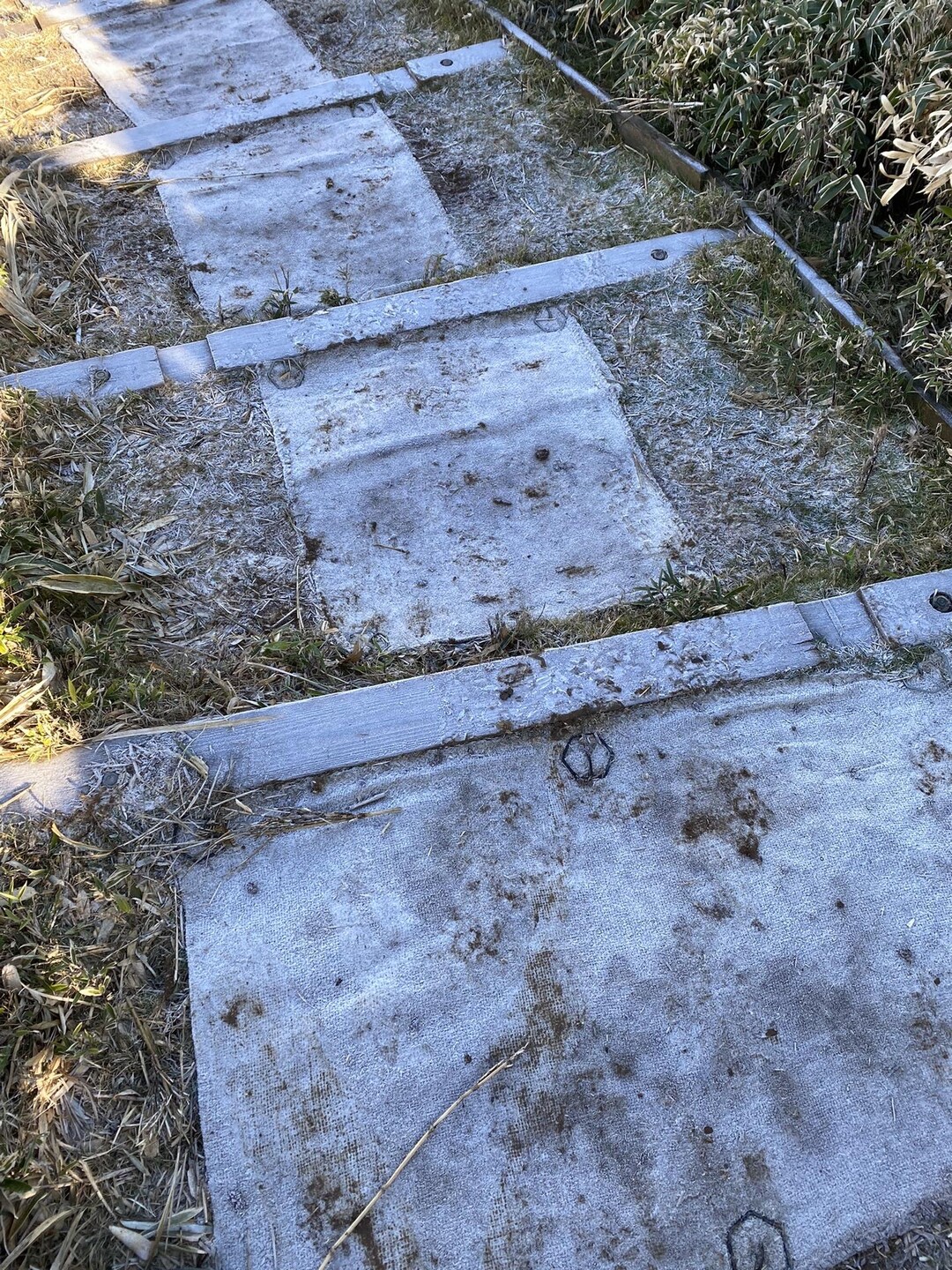 ken-gさんの投稿したフィールドメモ | YAMAP / ヤマップ