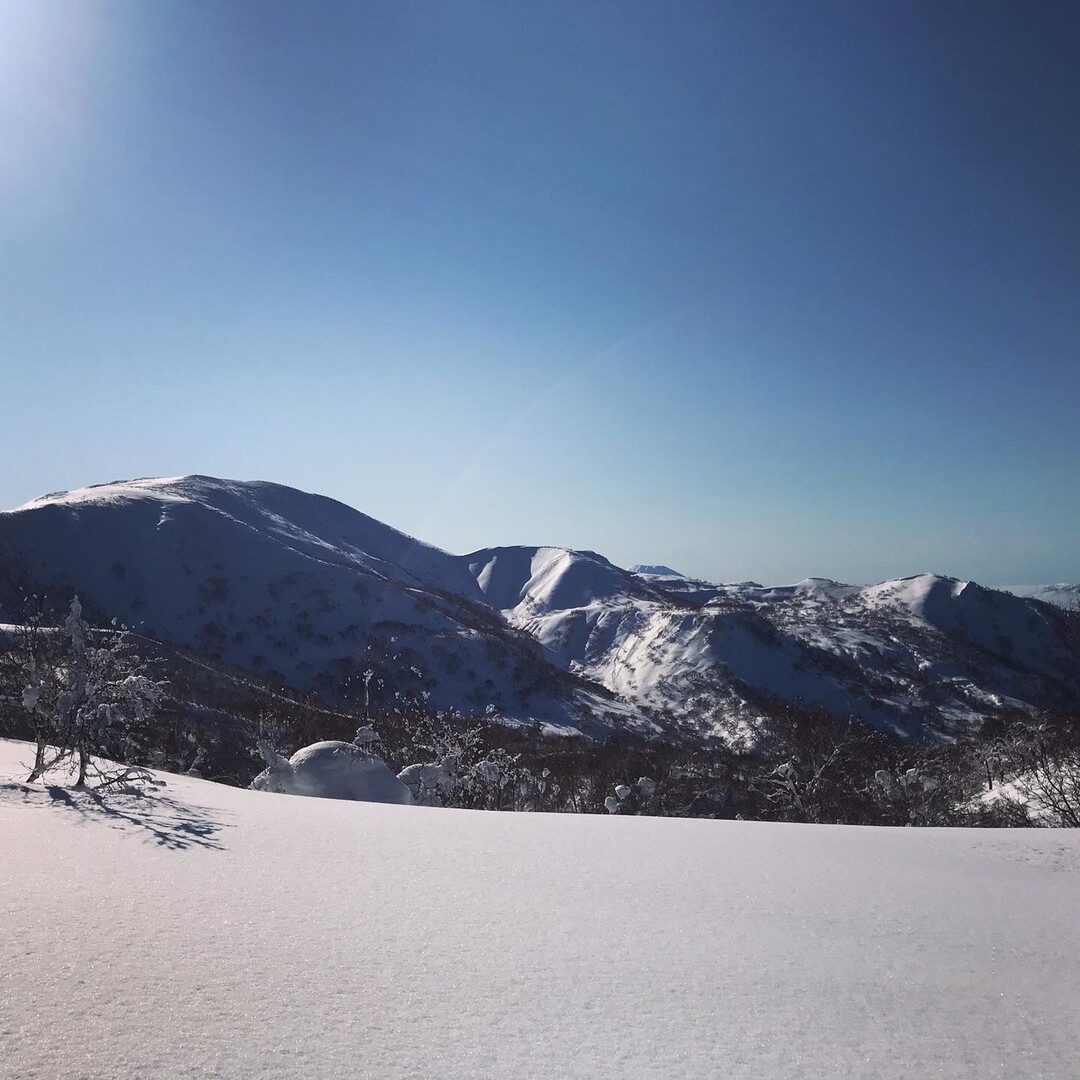 今日はこんなところ。衝動買いのRIPST... / chieさんのモーメント | YAMAP / ヤマップ