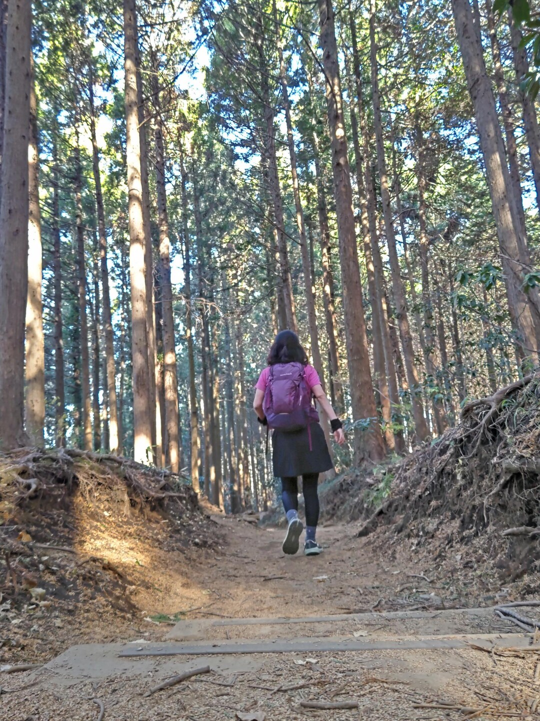 高尾↔陣馬 タイムリミットは7時間💦 / koroponさんの高尾山・陣馬山・景信山の活動データ | YAMAP / ヤマップ