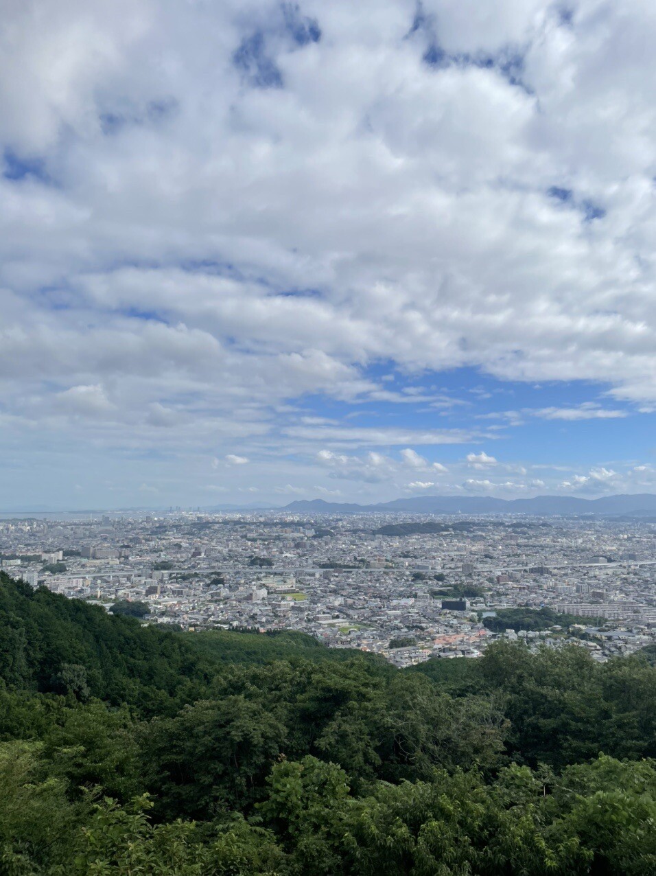 片江山・妙見山・油山・荒平山 / しもさんの油山・荒平山・片縄山の活動データ | YAMAP / ヤマップ