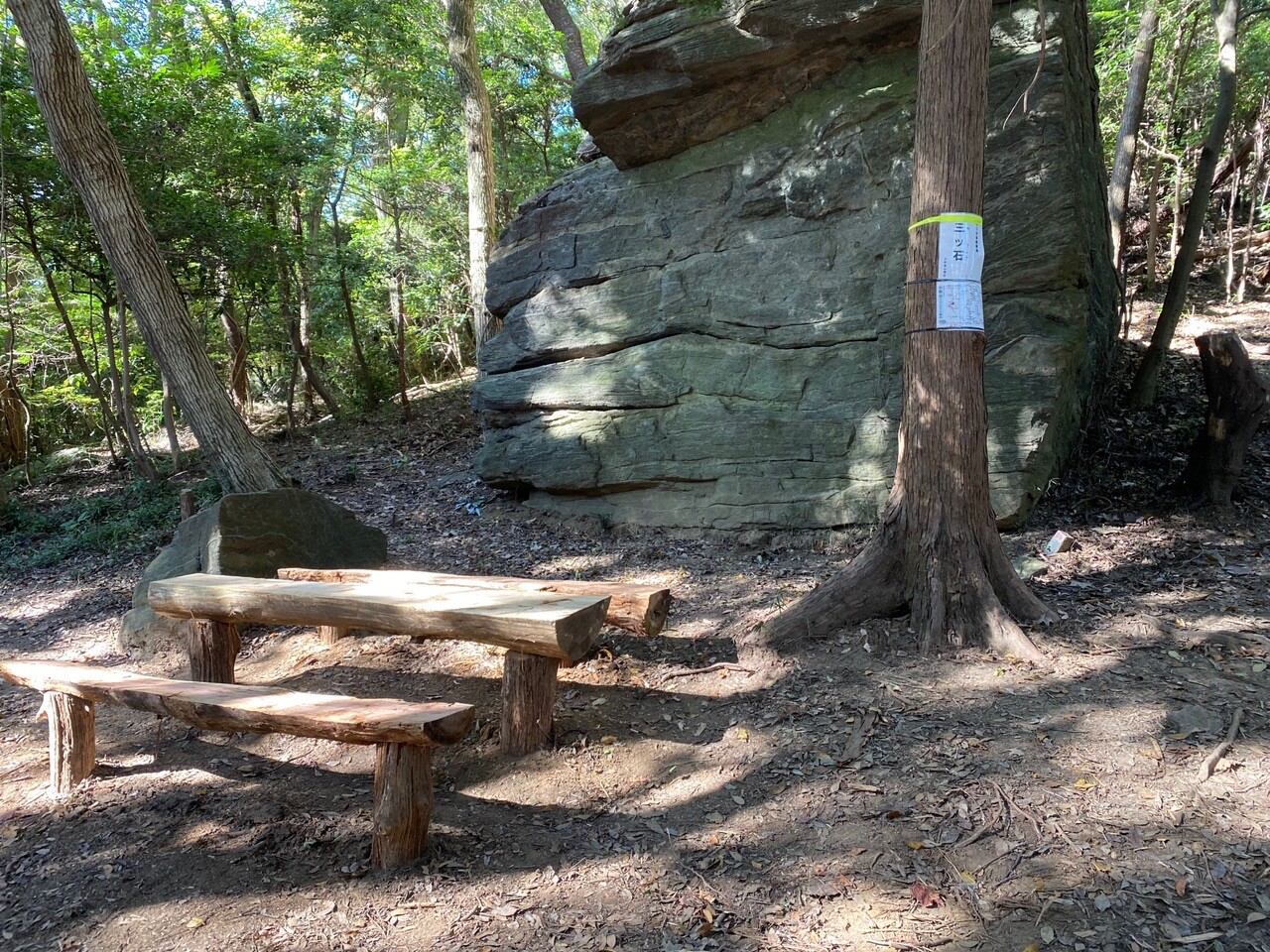 Gomaさんの投稿したフィールドメモ | YAMAP / ヤマップ