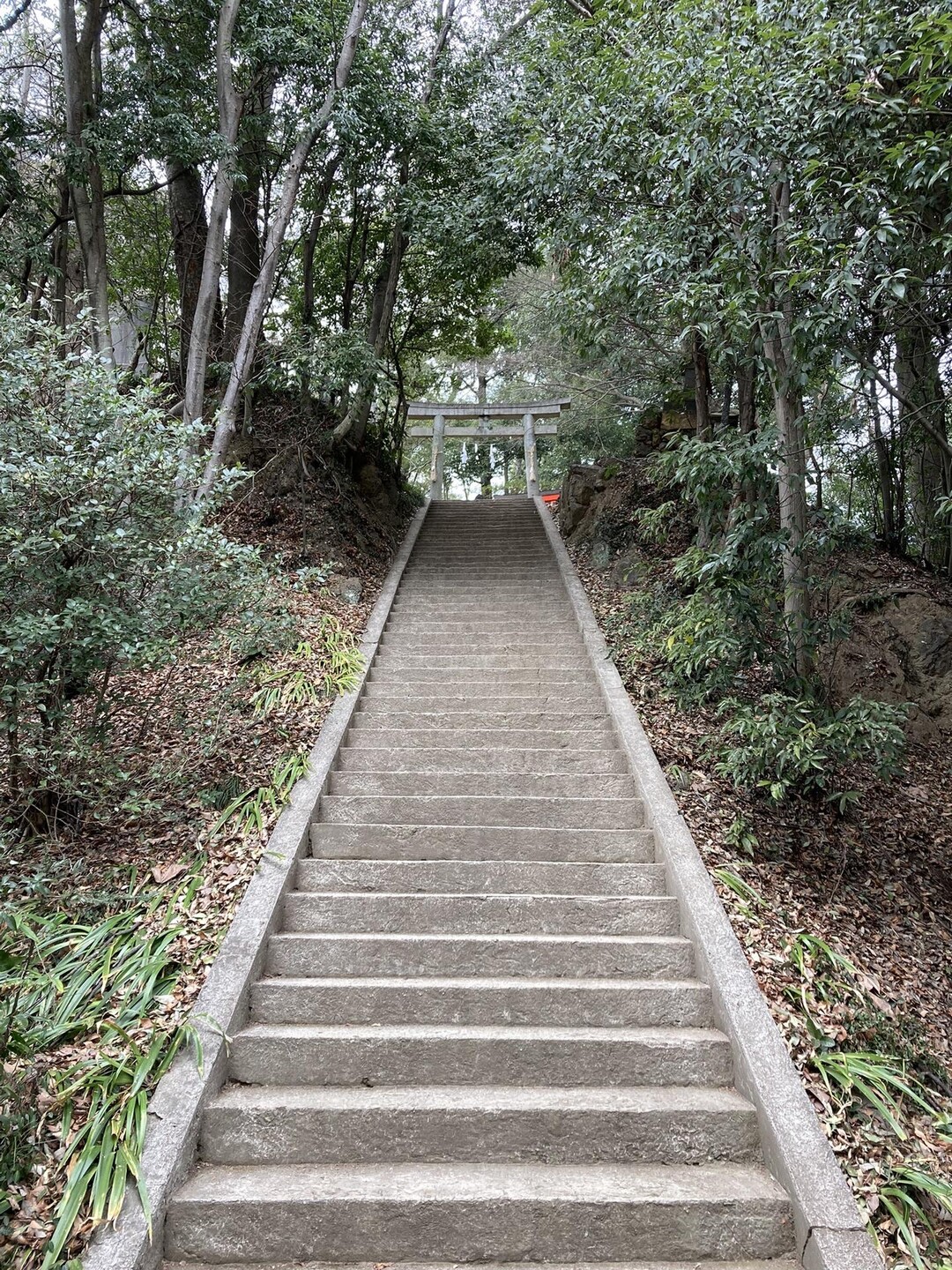 鏡山・両崖山・天狗山・かわら山・つる山・須永山・観音山 / o-daijinさんの両崖山・仙人ヶ岳・石尊山の活動データ | YAMAP / ヤマップ