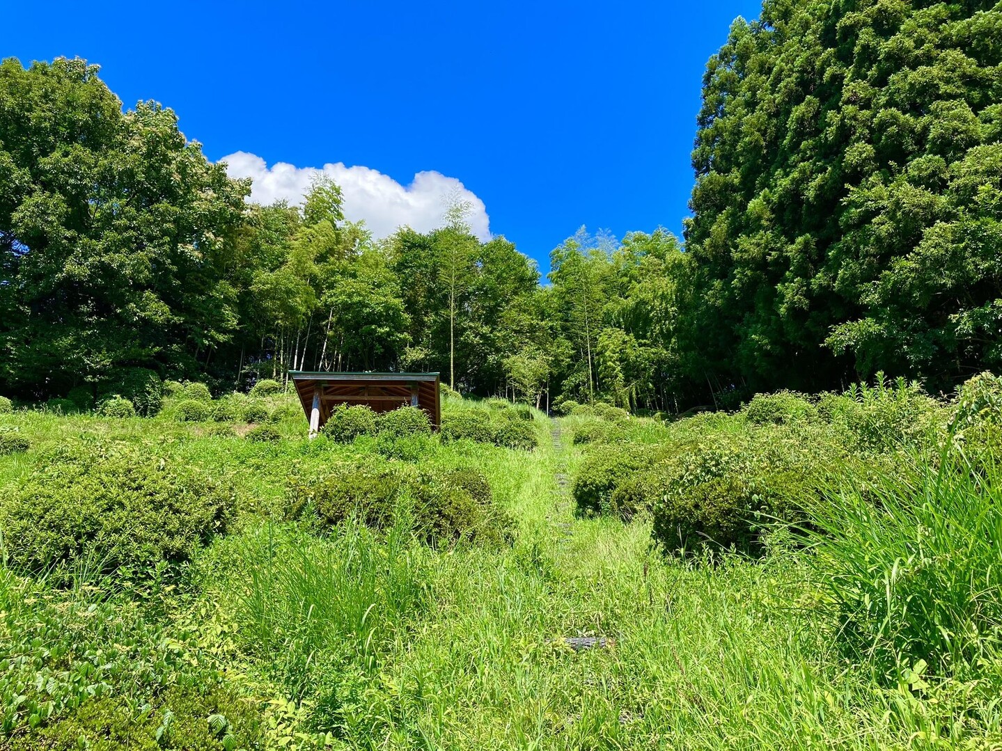 ラントレ継続8日目🏃‍♂️ / Naluさんの菩提寺山・高立山・護摩堂山の活動データ | YAMAP / ヤマップ