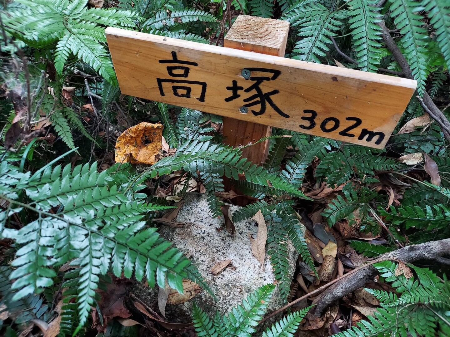 都城市高崎町 高塚🕸🕷 / derainandreさんの都城市の活動データ | YAMAP / ヤマップ