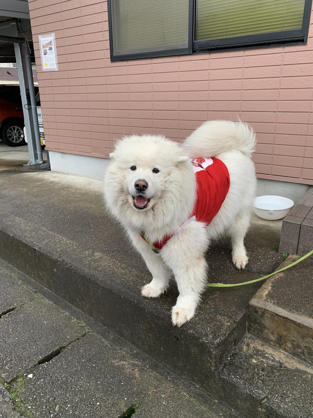 三好市をぷらぷら歩き / seekaさんのウォーキングの活動データ | YAMAP / ヤマップ