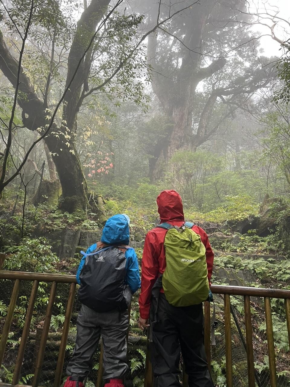 eddie-oのページ | YAMAP / ヤマップ