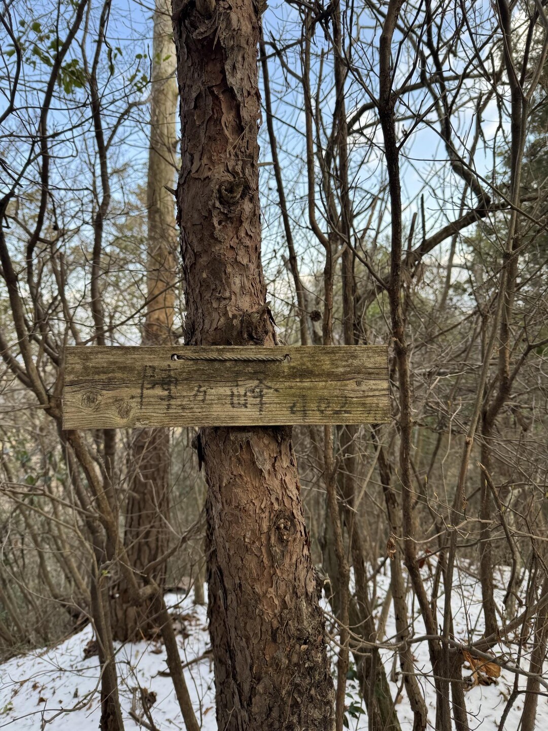 里の山その一 陣ヶ峰 / cozy284さんの前山の活動データ | YAMAP / ヤマップ