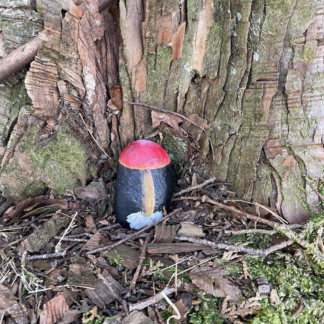 竜爪山(薬師岳)・ 竜爪山（文珠岳）・道白山 / tmkさんの竜爪山・薬師岳の活動データ | YAMAP / ヤマップ