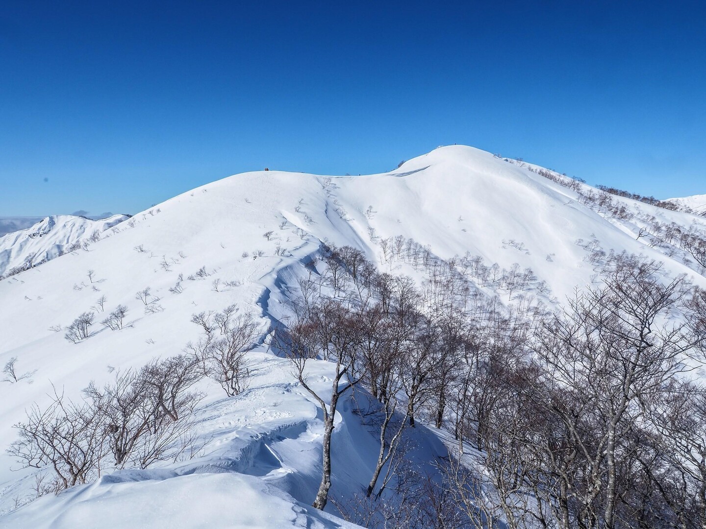 大日ヶ岳 ️ - 20230216 / Tadaboxさんの大日ヶ岳・毘沙門岳の活動データ | YAMAP / ヤマップ