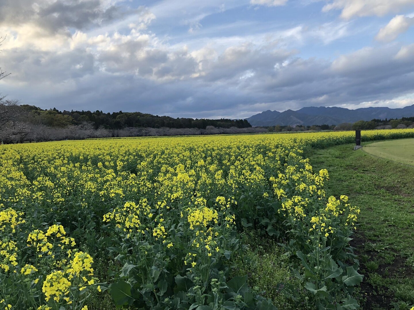 春休み🌸東九州旅行 食の宝庫🍺外付け... / ERINさんのモーメント | YAMAP / ヤマップ