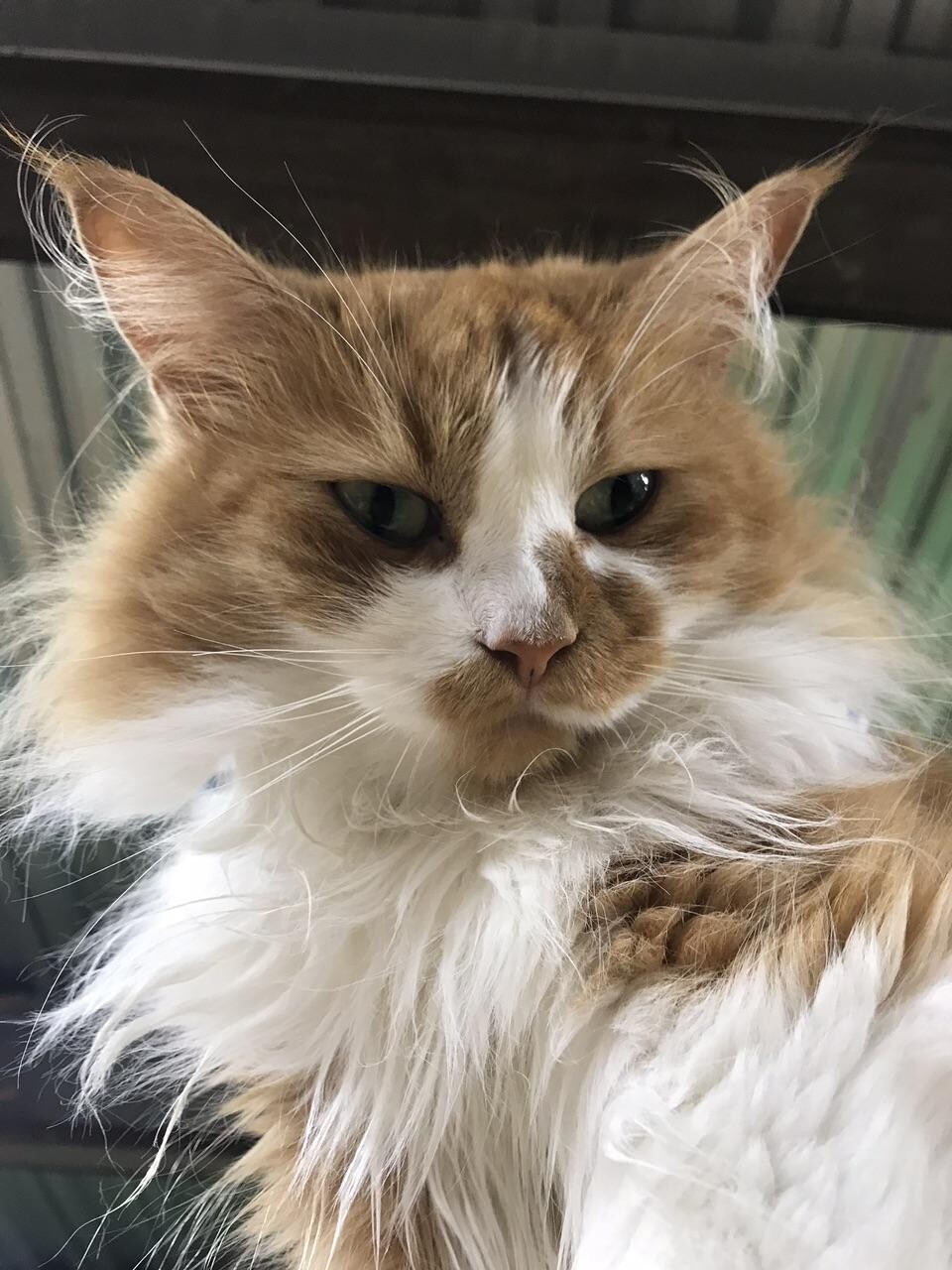 yutaのページ | YAMAP / ヤマップ