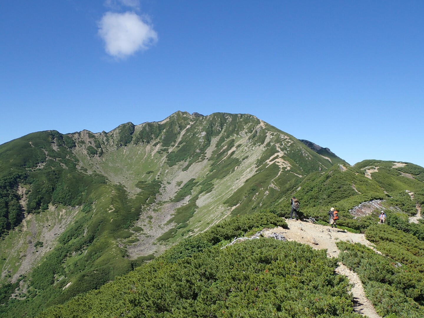 仙丈ヶ岳はお花と雷鳥のパラダイス / ankamoさんの仙丈ヶ岳・伊那荒倉岳の活動データ | YAMAP / ヤマップ