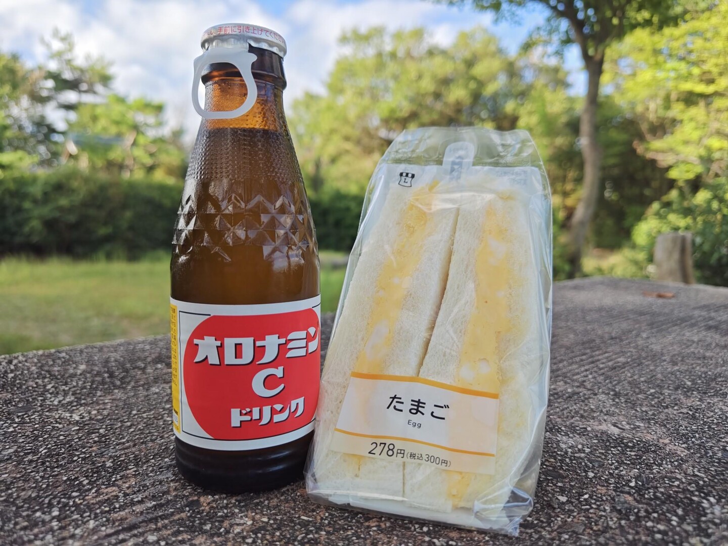 ウォーキング-2024-09-20 / やいちんエリザベスさんのウォーキングの活動データ | YAMAP / ヤマップ