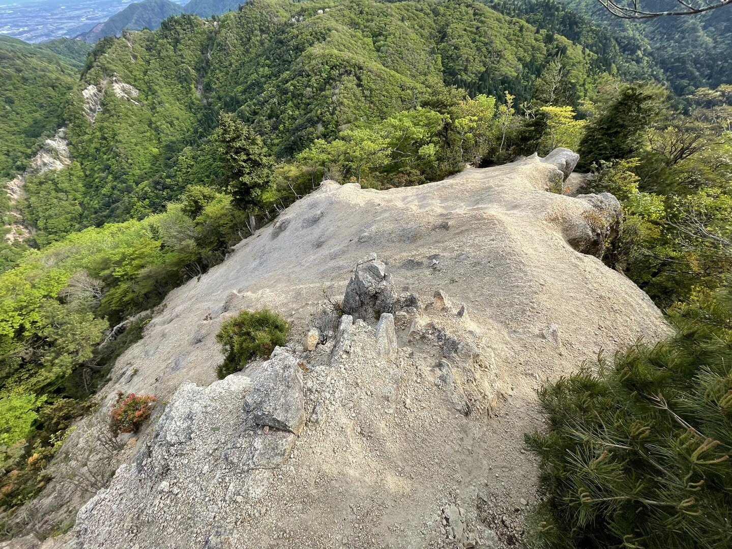 podoryさんの投稿したフィールドメモ | YAMAP / ヤマップ