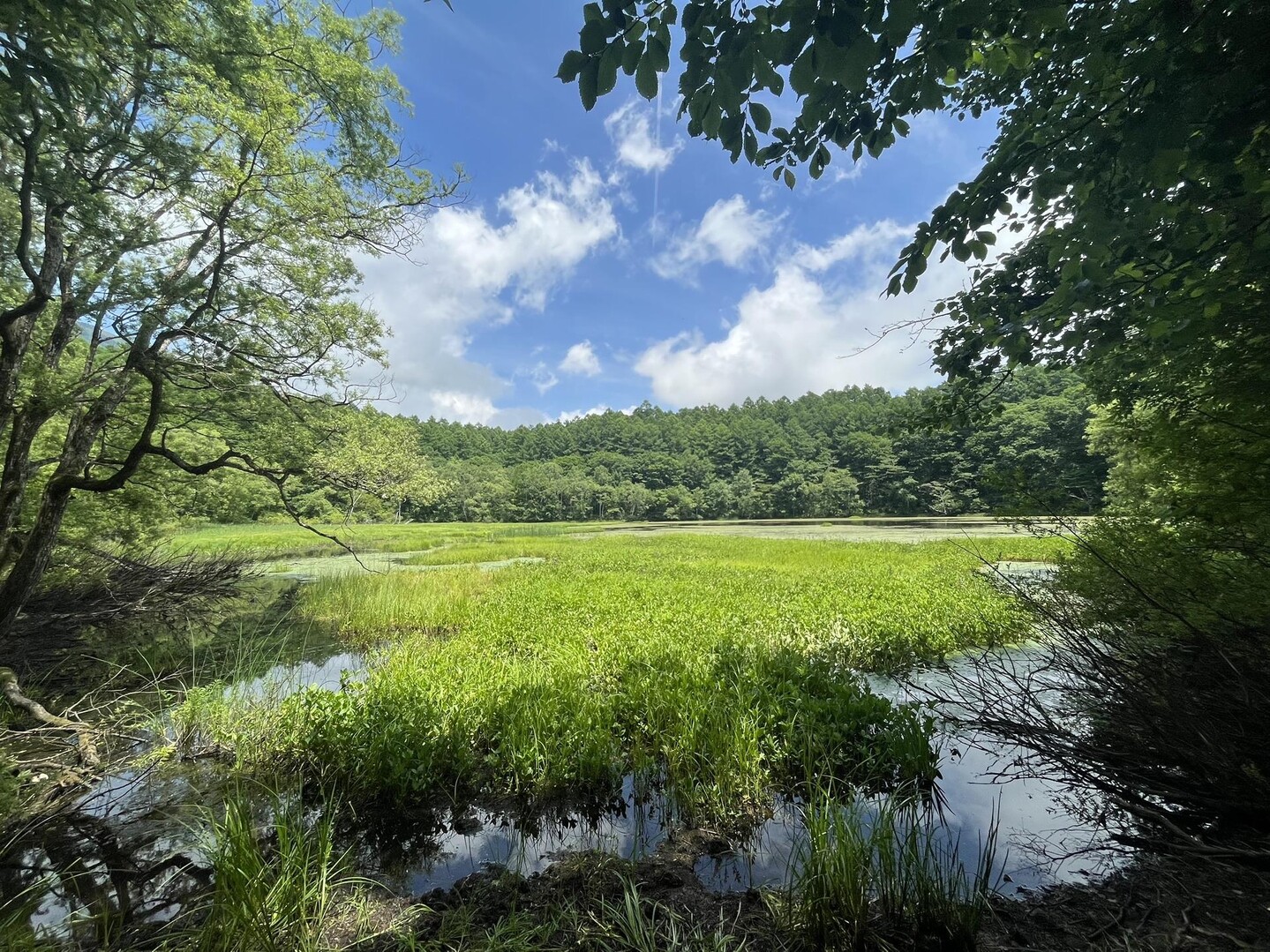 黒姫山 / andoさんの黒姫山の活動データ | YAMAP / ヤマップ