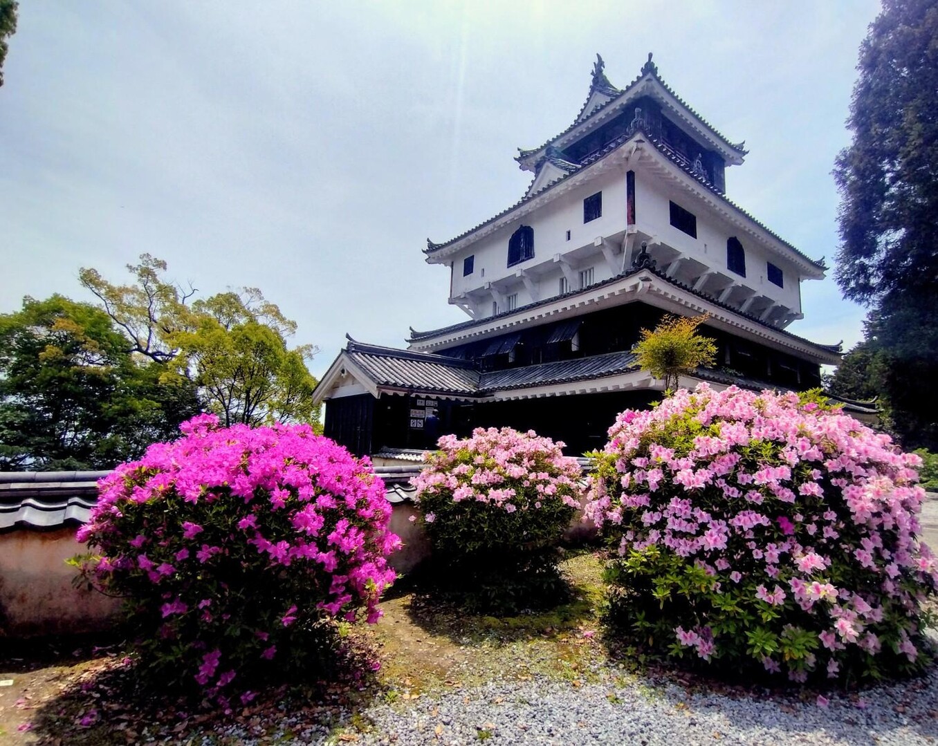 山口🏯岩国トレイル〜錦帯橋 / micoさんの米山・大応山の活動データ | YAMAP / ヤマップ