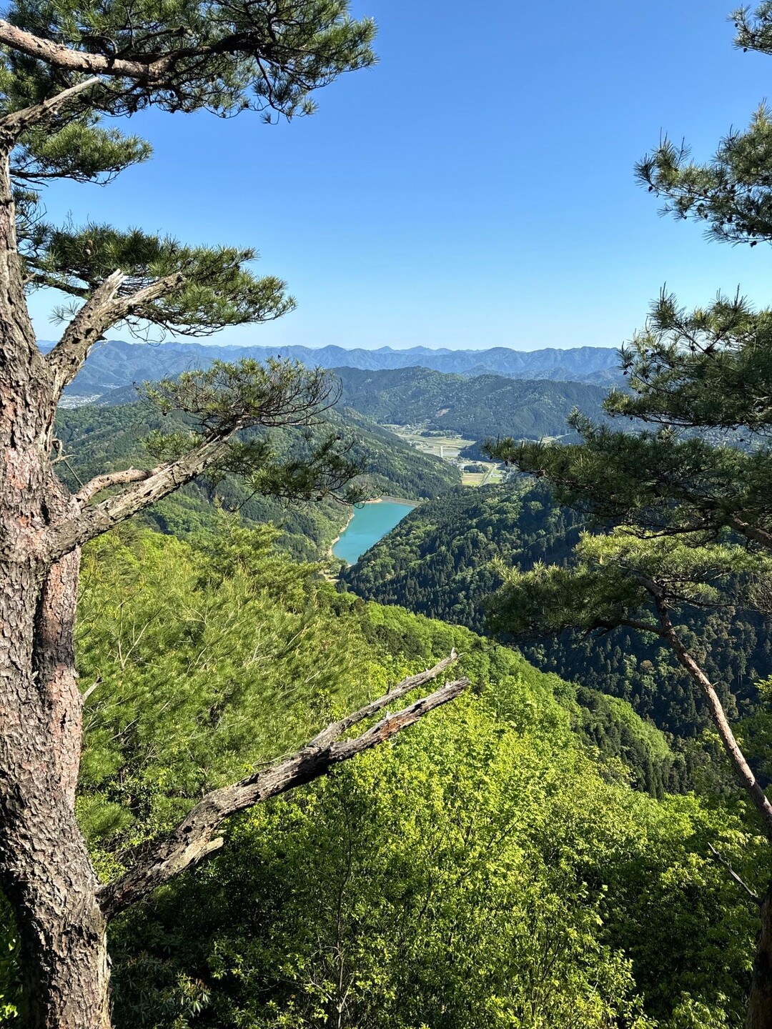コケズラシ山・親不知周回ルート🚶🏞️ / Tanmo Minoさんの五台山・親不知・城山（猪ノ口山）の活動データ | YAMAP / ヤマップ