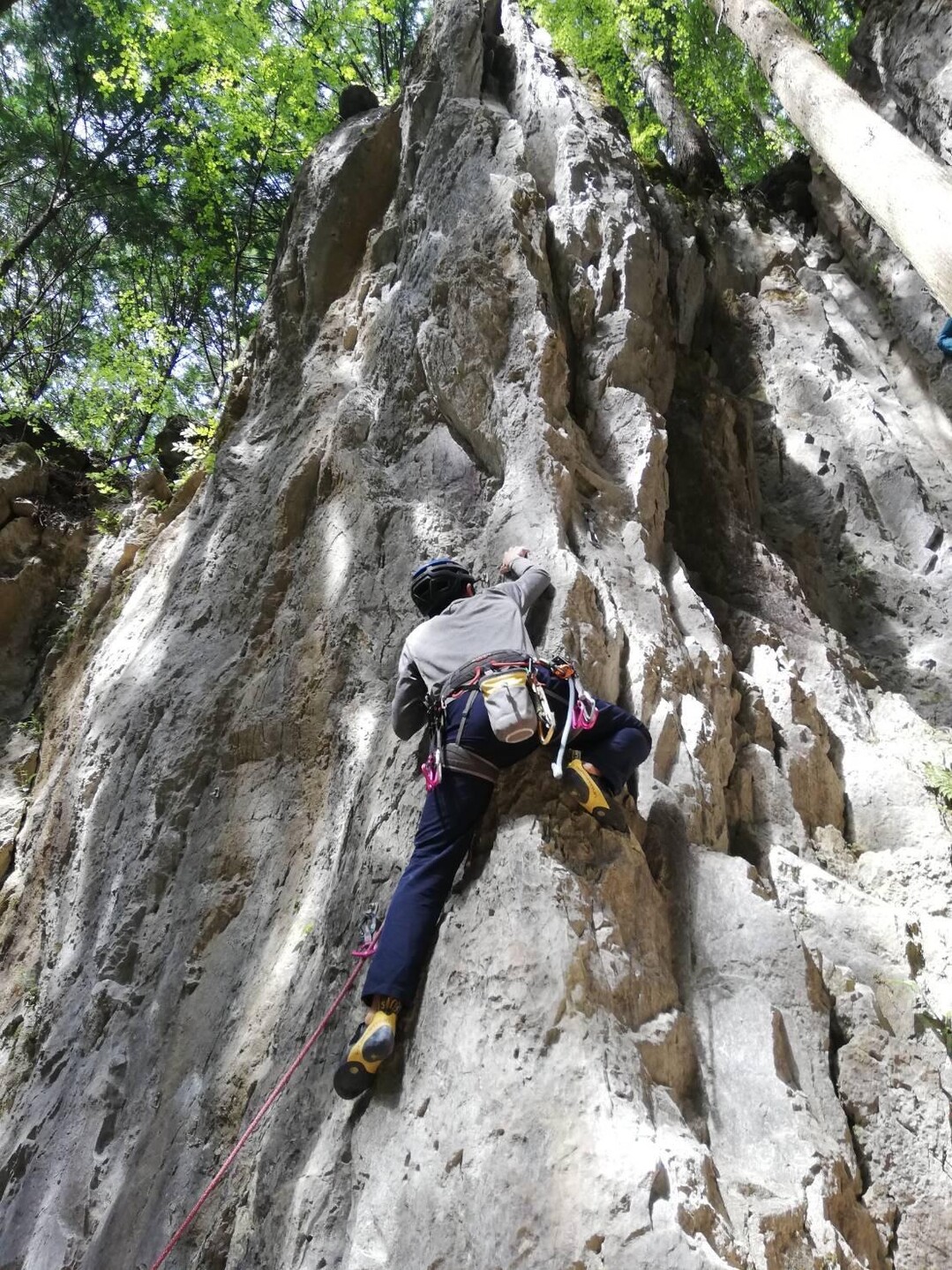 二子山（マルチ） ＆ 柴崎ロック（フリー） / ryotaさんのクライミングの活動日記 | YAMAP / ヤマップ