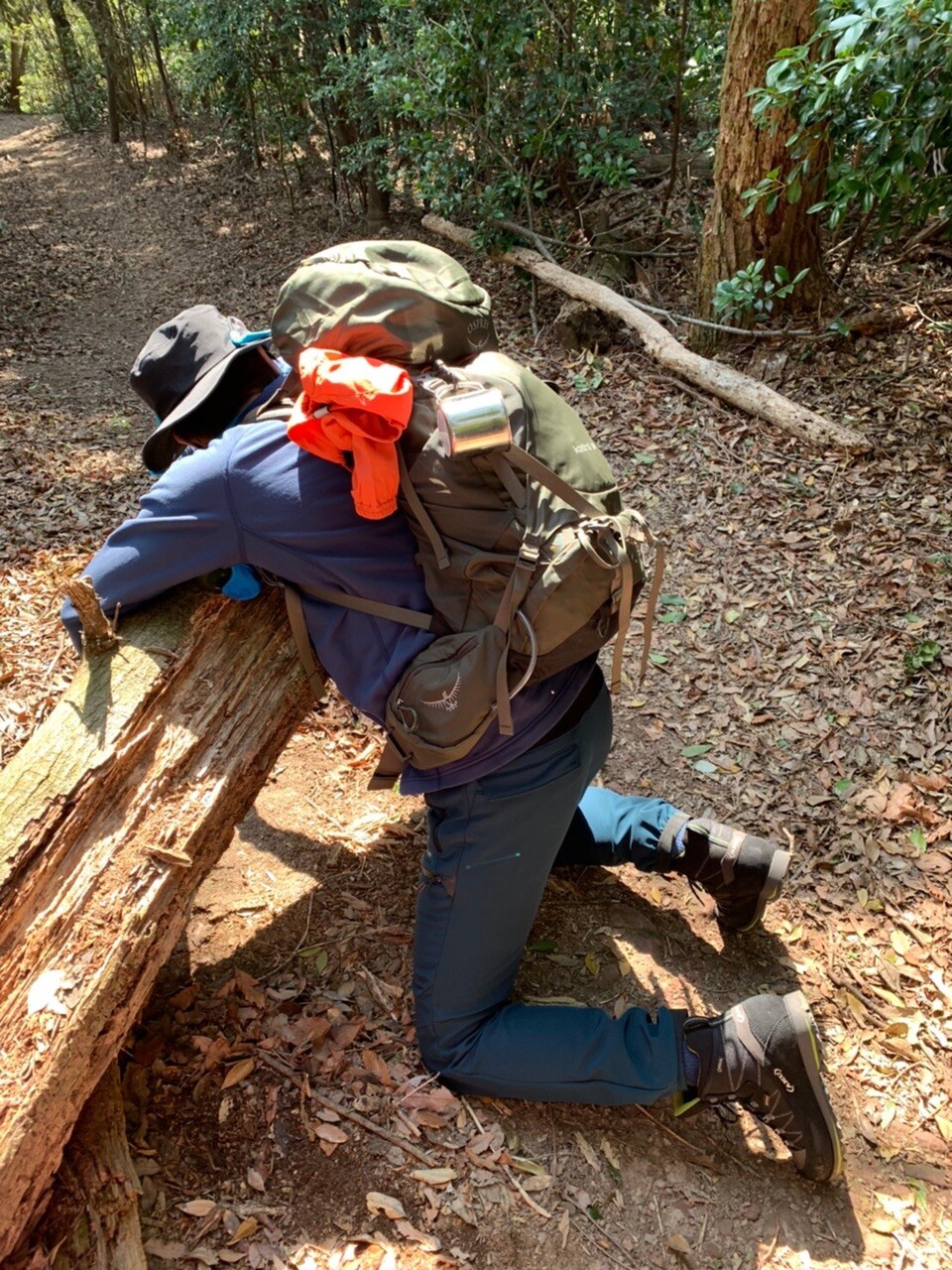 Chang.Toruのページ | YAMAP / ヤマップ