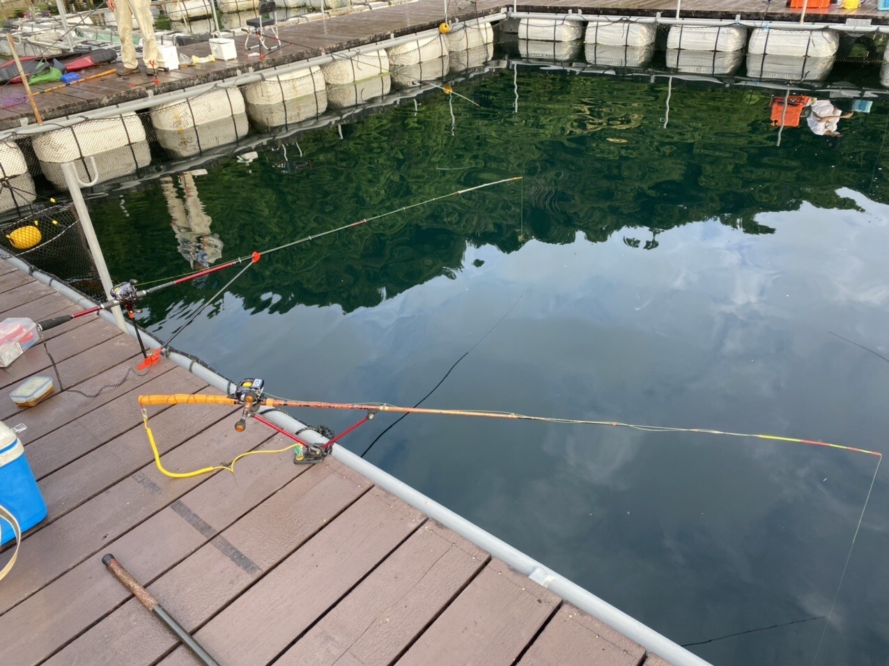 今年になって初めて福井県日向湖に有る海上... / Takashiさんのモーメント | YAMAP / ヤマップ