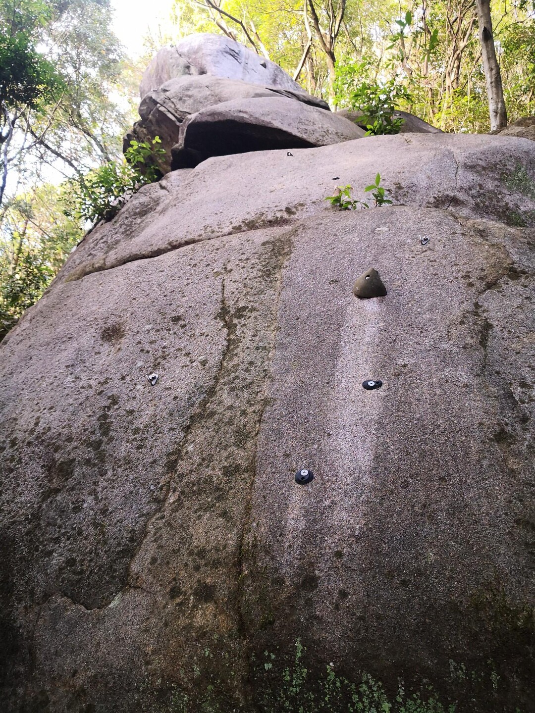 正現岳・金立山～観音山経由トレイルラン / ya-@katuさんの金立山・金敷城山の活動データ | YAMAP / ヤマップ