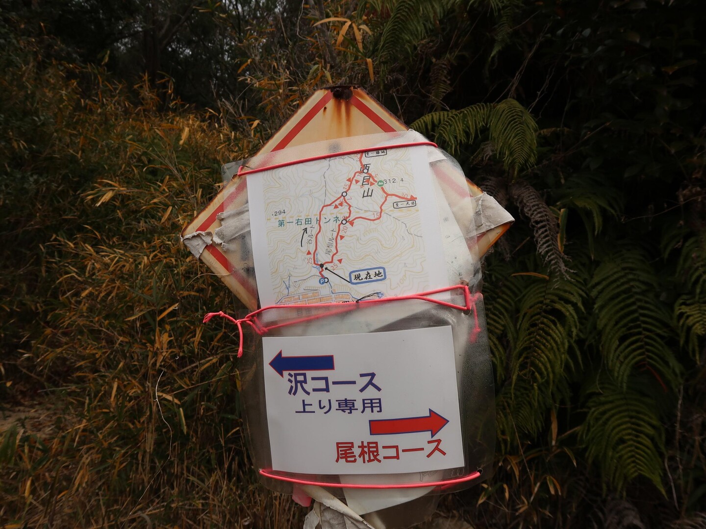 西目山 You Tube / キンチャンさんの右田ヶ岳・西目山・楞厳寺山の活動データ | YAMAP / ヤマップ