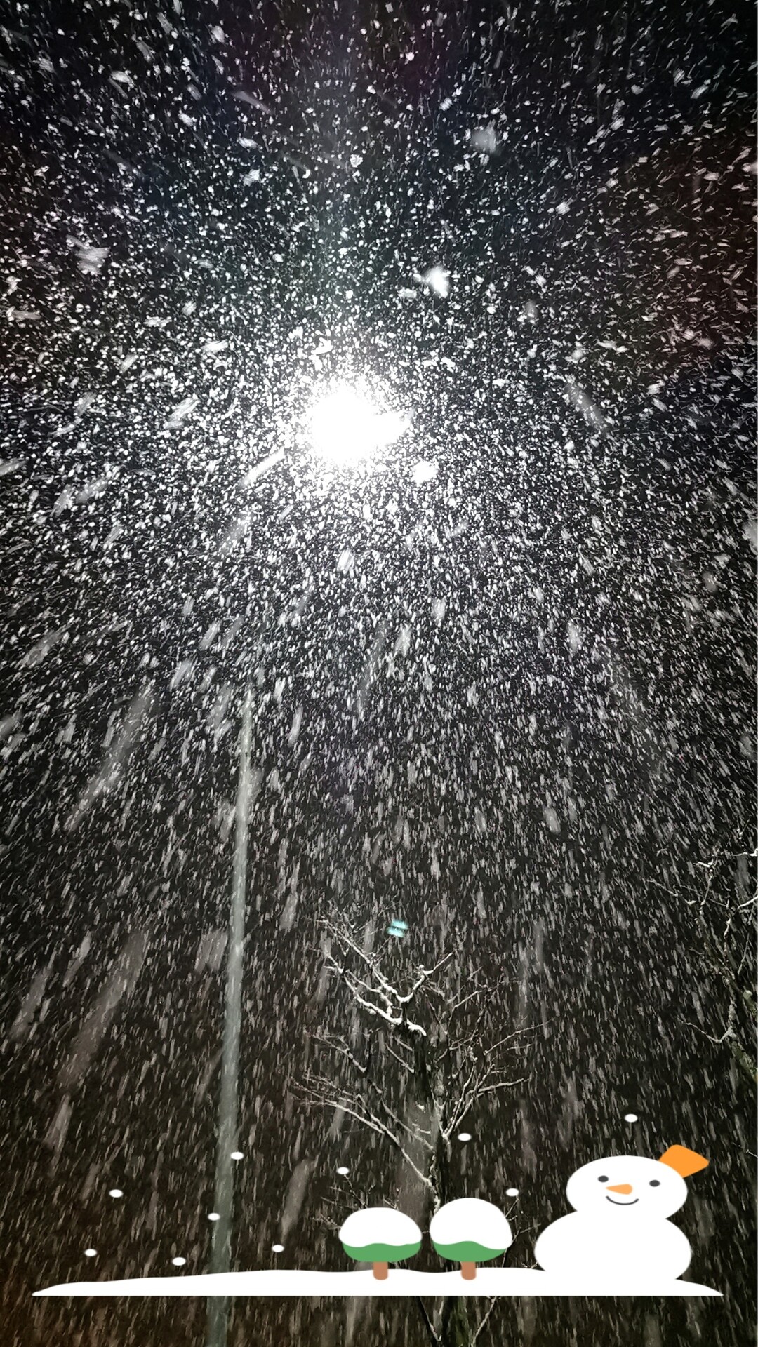 通勤中 ️🚙💦😨 めっちゃ ️降っ... / YAMA由さんのモーメント | YAMAP / ヤマップ