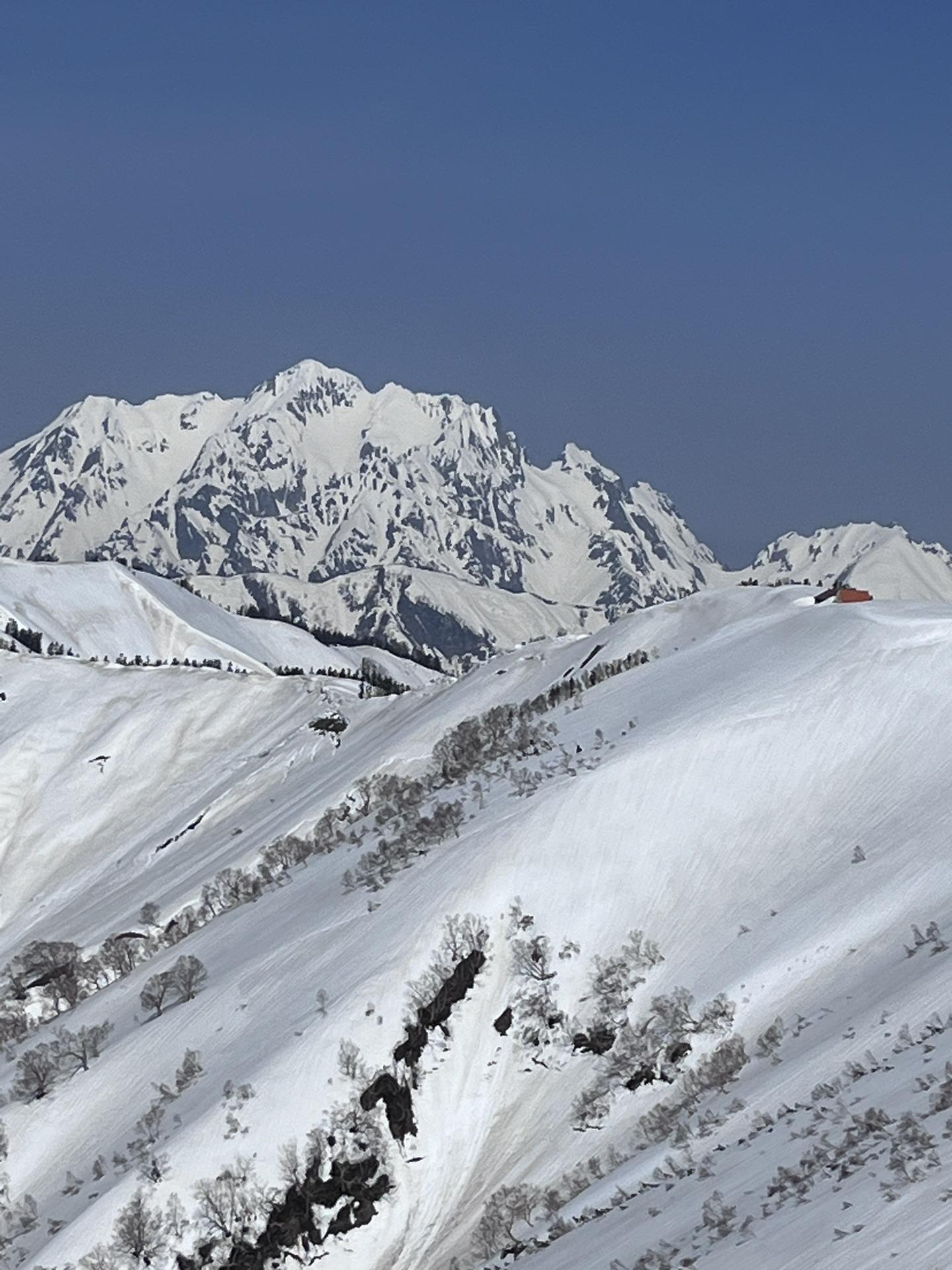 爺ヶ岳(南峰・中峰)南尾根から / mierinさんの鹿島槍ヶ岳・五竜岳（五龍岳）・唐松岳の活動データ | YAMAP / ヤマップ
