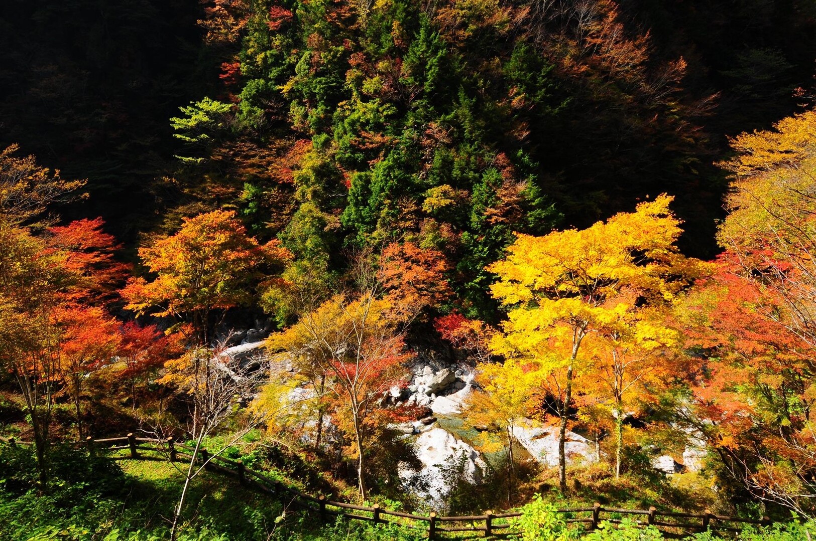 2012/11/7 紅葉🍁 瀬戸川渓谷... / ポンコツ山太郎さんのモーメント | YAMAP / ヤマップ