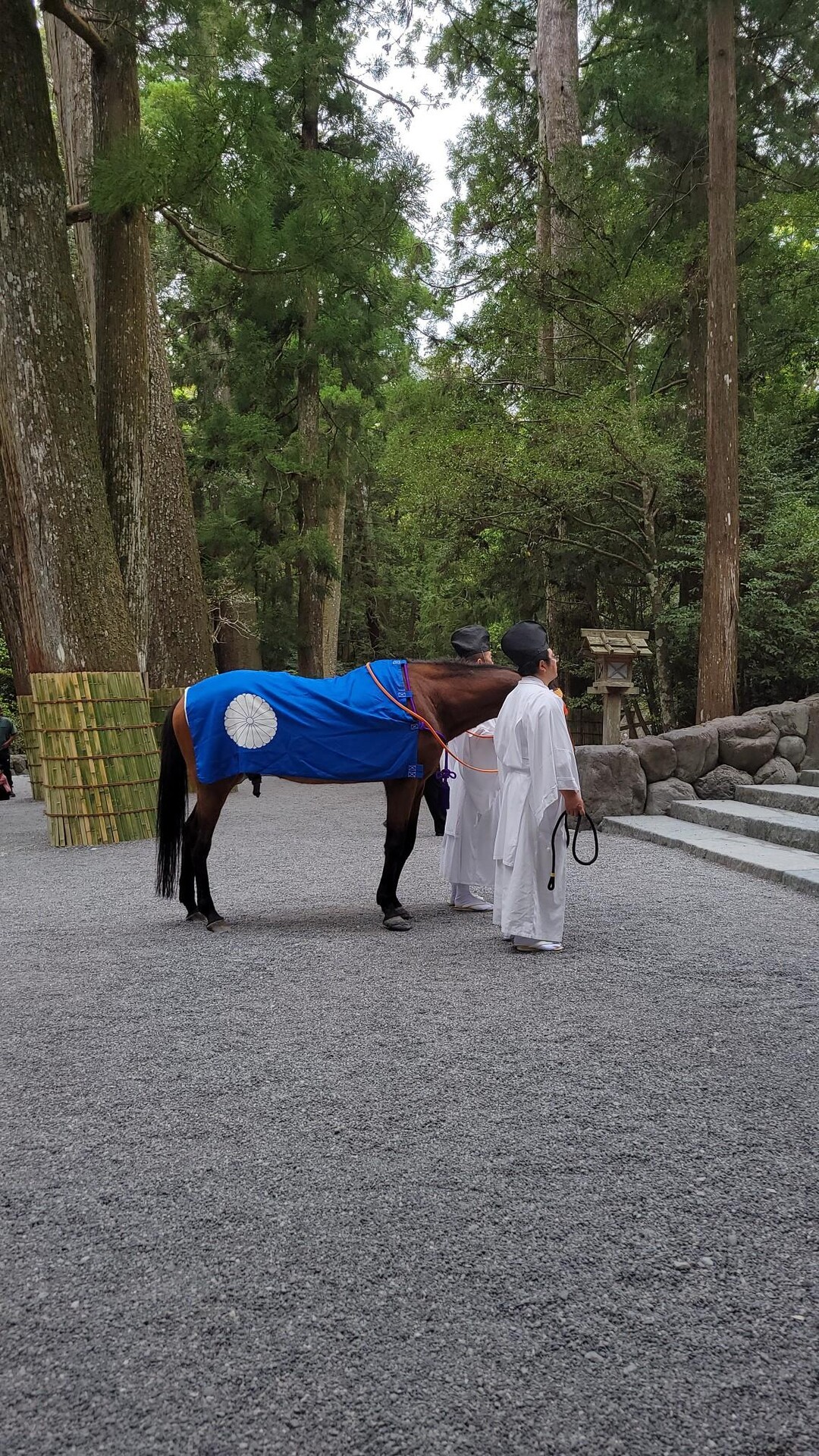 毎月のお礼参り🙏 今日は21日 伊勢... / きよちゃん🐾さんのモーメント | YAMAP / ヤマップ