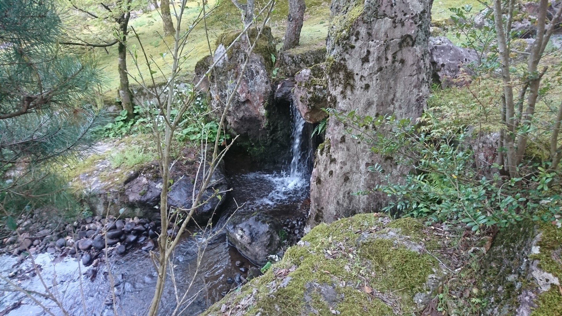 仕事帰りのウォーキング2 往復3.5キロ... / アテンさんのモーメント | YAMAP / ヤマップ