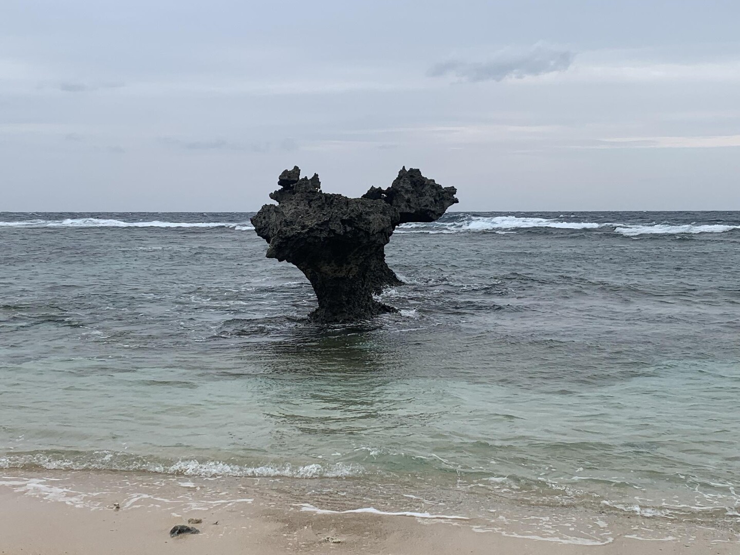 新年沖縄に行ってました。 今年もよろしく... / doroさんのモーメント | YAMAP / ヤマップ