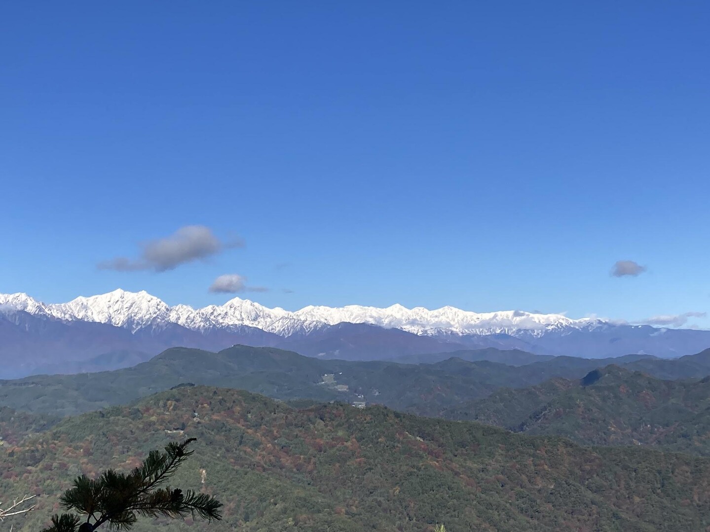 京2 / KYOSOさんの京ヶ倉・大城の活動データ | YAMAP / ヤマップ