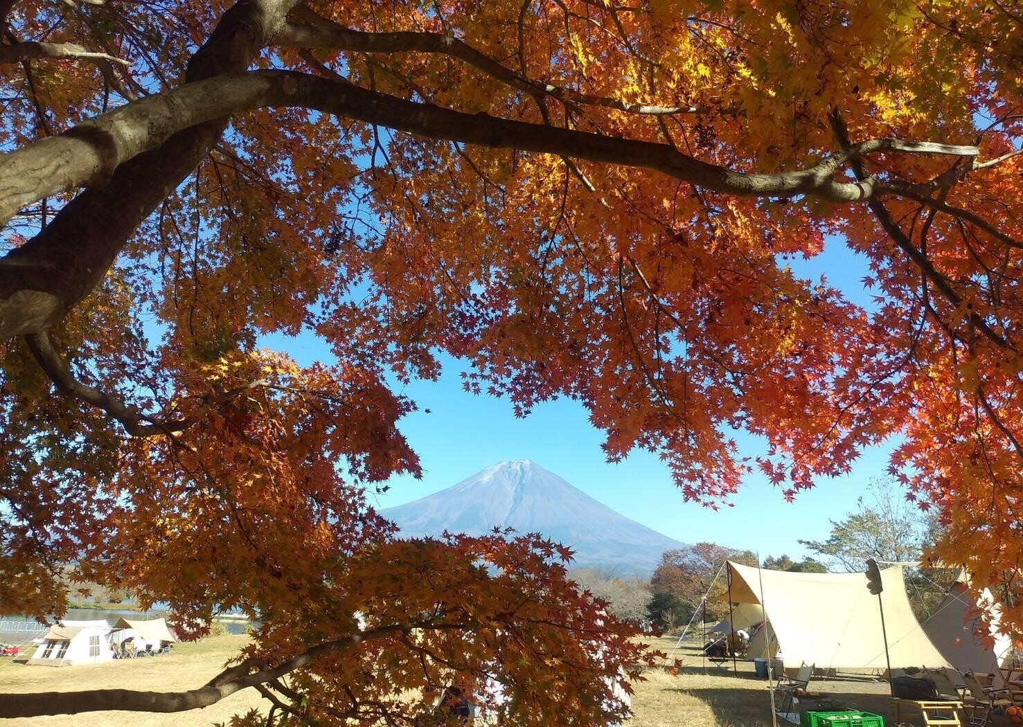 田貫湖に寄って定番スポットで / syo-zoさんのモーメント | YAMAP / ヤマップ