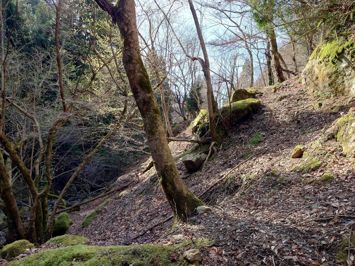 to-ruさんの投稿したフィールドメモ | YAMAP / ヤマップ