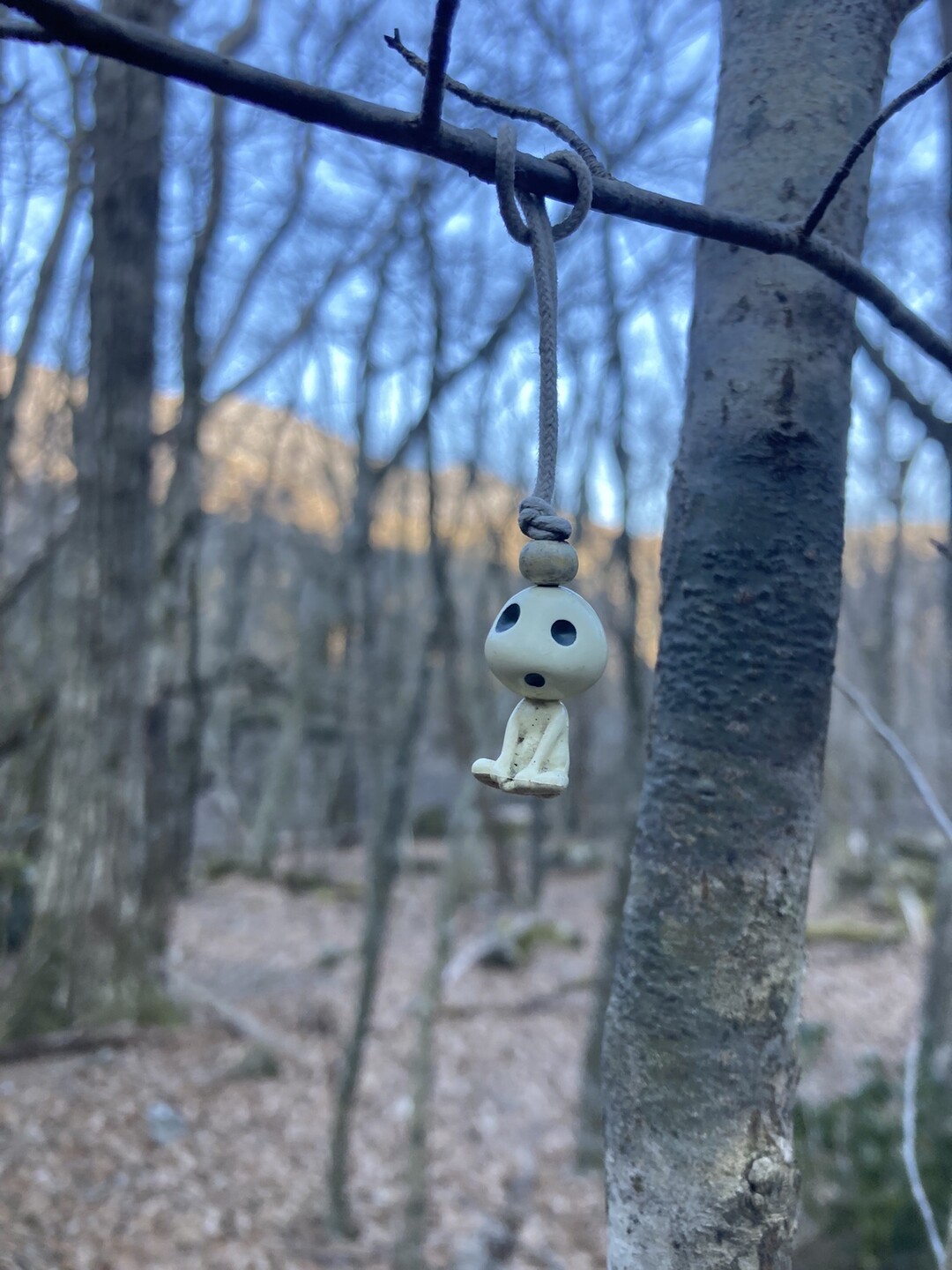 御池(おいけ)🧊氷結‼︎🏔🏃‍♂️💨 / ryu_ich1さんの九重山（久住山）・大船山・星生山の活動データ | YAMAP / ヤマップ