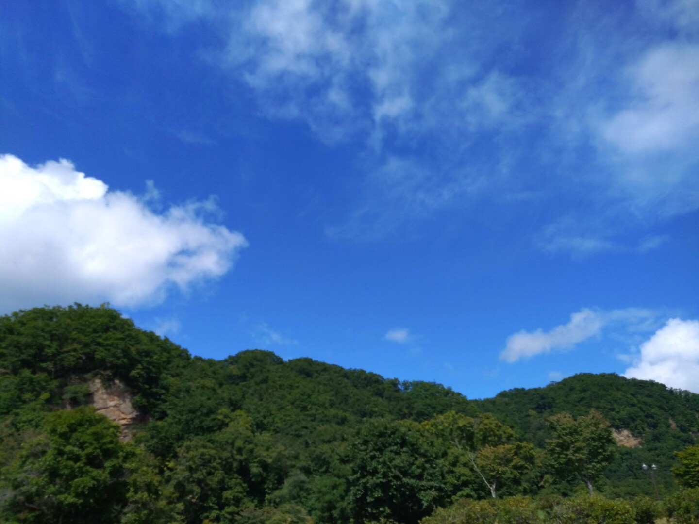 昼ご飯前に諏訪山・奥諏訪・奥諏訪山 / ベコちゃんさんのウコタキヌプリの活動データ | YAMAP / ヤマップ